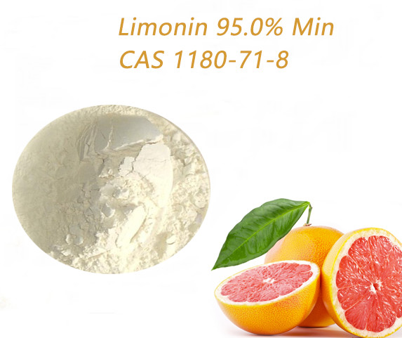 Bitter Immature Citrus Fruit Extract Healthy Food Herbal Nutrition Powder