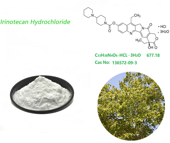 CAS 136572-09-3 Irinotecan Hydrochloride White Powder Used In Medicinal