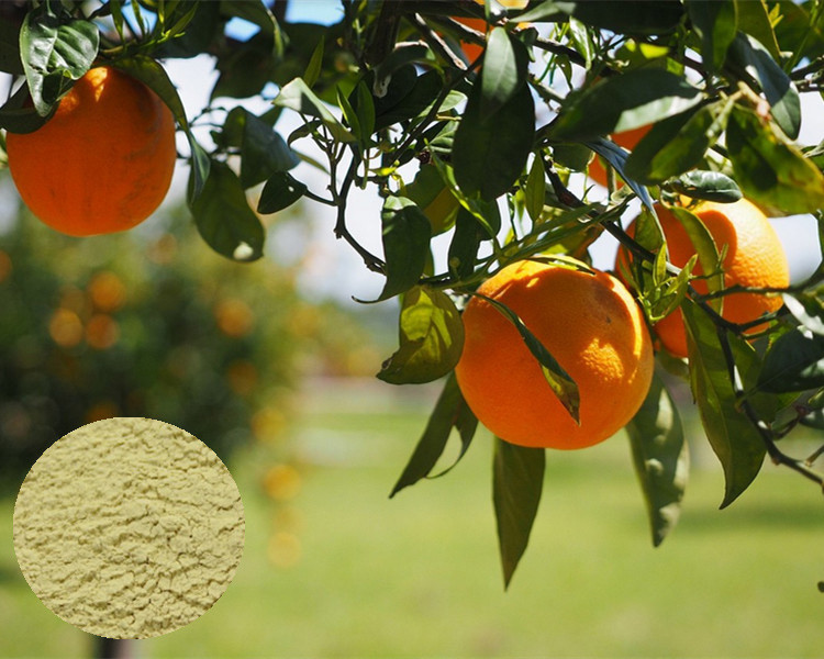 Organic Food Grade Citrus Aurantium Extract Diosmin Yellow Powder EP10